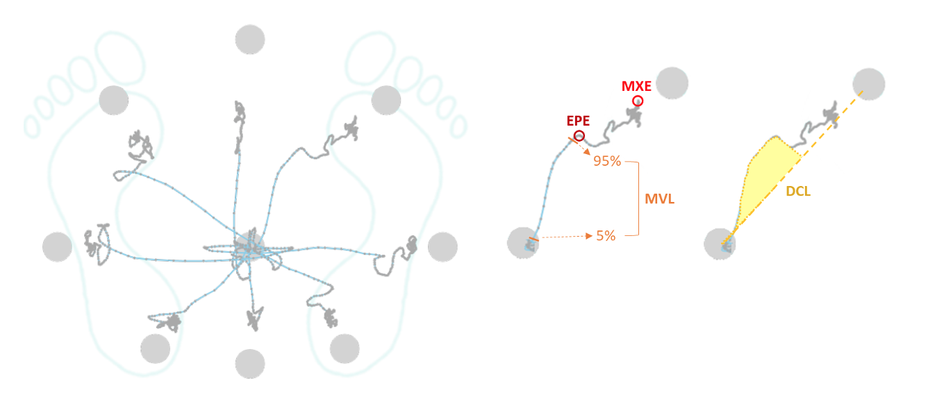Limits of Stability > The most used protocol for balance assessment ...